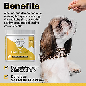 Pawlife Dog Fish Oil Supplements - 120 Omega 3 Fish Oil Dog Vitamins, Veterinarian Formulated Itching Relief for Dogs, Natural Omega 3 Fish Oil for Dogs, Dog Skin and Coat Supplement (Salmon Flavor)