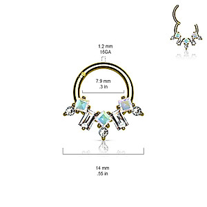 Pierced Owl 16GA Stainless Steel Multi CZ Crystal Fan Cartilage Helix Daith Septum Hinged Segment Ring (Silver Tone)