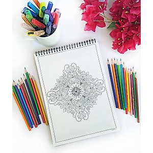 Power Mandalas Coloring book for adults, Spiral bound paperback, stress relieving intricate Offbeat mandalas for grown-ups