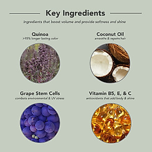 Framesi Color Lover Volume Boost Conditioner, 33.8 fl oz, Sulfate Free Volumizing Conditioner with Quinoa and Coconut Oil, Color Treated Hair