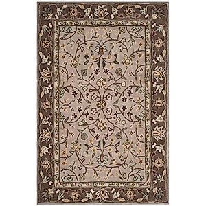 SAFAVIEH Total Performance Collection Accent Rug - 3' x 5', Ivory & Taupe, Hand-Hooked Oriental, Non-Shedding & Easy Care, Ideal for High Traffic Areas in Entryway, Living Room, Bedroom (TLP722B)