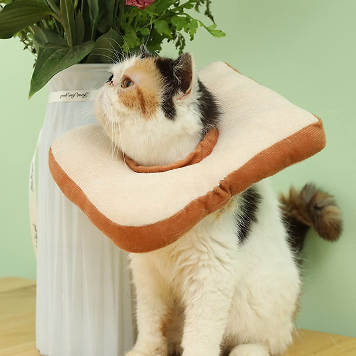 Mipcase 1pc Collar Loaf Bread Pet Decor Puppy Outfits Cat Costumes for Cats Kitten Neck Cone Inflatable Costumes Puppy Bunny Costume Small Dog Costume Neck Circle Cotton -Scratch