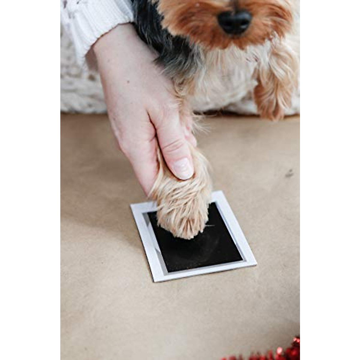 Pearhead Dog or Cat Personalized Memory Box Keepsake, Pet Rainbow Bridge Memorial Urn, Modern Pet Burial Tabletop Urn