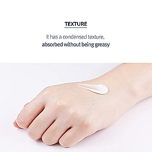 PYUNKANG YUL Nutrition Cream - Korean Skin Care Face Cream - Facial Moisturizer for Dry and Combination Skin Types - Healthy Natural Ingredients Shea Butter, Macadamia Deeply Moisturize Skin | 3.4 Fl. Oz.