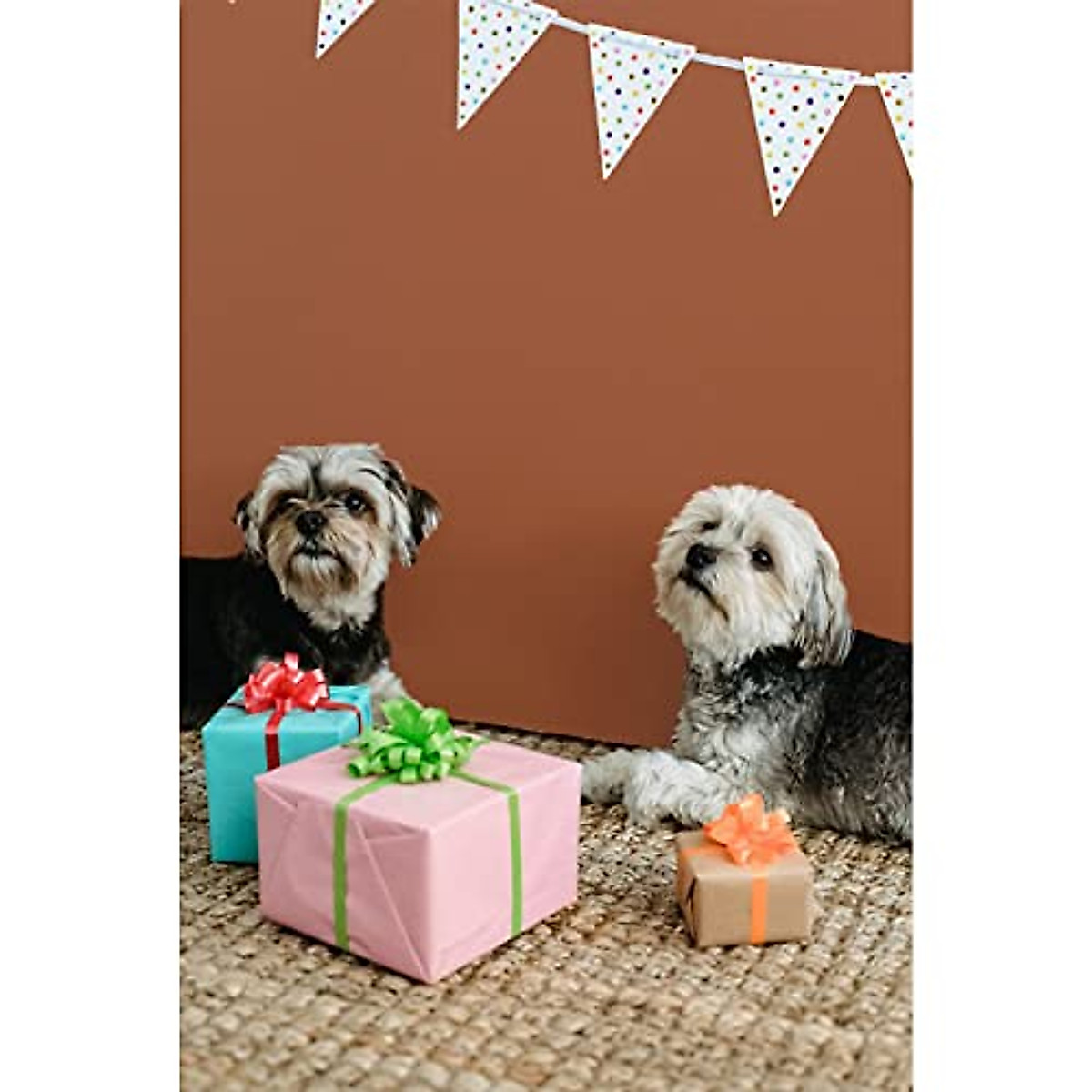 Julius Studio 10 x 10 ft. Brown Backdrop Screen Photo Background, 150 GSM Thicker Synthetic Fabric for Professional Photography Video Studio, Events, Party, Pure Brown Color, JSAG193