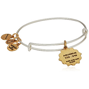 Alex and Ani Women's Aquarius Two Tone Bangle Bracelet