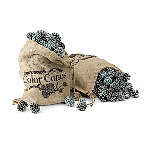 Plow & Hearth Fireplace Color Changing Pine Cones Wood Burning Accessories