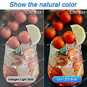 Marxlait 4 Pack LED Light Bulbs 40 watt Equivalent, Daylight 5000K, A19 Standard Light Bulbs, E26 Medium Base, Non-Dimmable