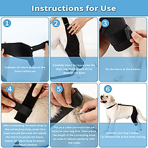 Noillow Dog Knee Brace, Dog Leg Brace for Sprain ACL, CCL, Arthritis - Keeps The Joint Warm and Stable, Leg Wounds Care and Prevent Licking, Dog Rear Leg Luxating Patella Brace-Right-L