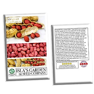 Tennessee Red Peanut Seeds for Planting, 20 Peanut Seeds Per Packet, (Isla's Garden Seeds), Non GMO Seeds, Botanical Name: Arachis hypogaea, Fun Home Garden Gift