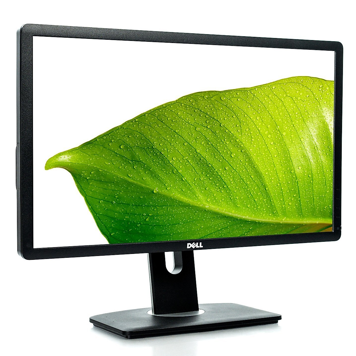Dell Professional P2312H 23' Monitor - Full HD LED Backlight (P2312HT) (Renewed)