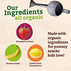 Peter Rabbit Organics Strawberry and Banana Pure Fruit Snack, 4 Ounce(Pack of 10)