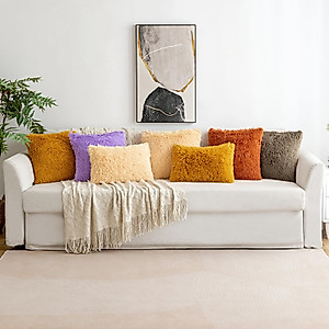 MIULEE Pack of 2 Luxury Faux Fur Throw Pillow Covers Deluxe Winter Decorative Plush Pillow Case Cushion Cover Shell for Sofa Bedroom Car 18x18 Inch Burnt Orange