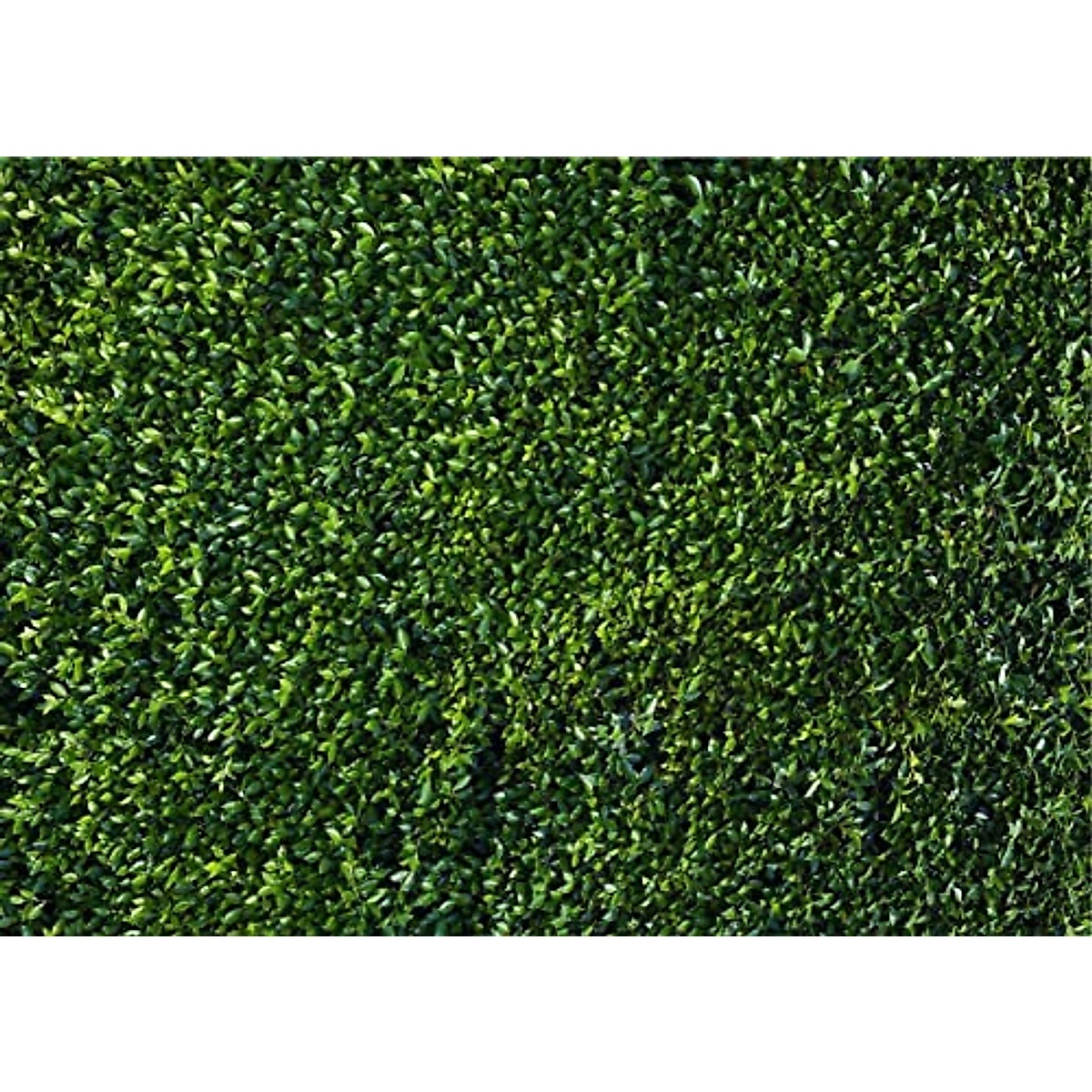 HQM 3D Green Leaves Nature Spring Theme Photo Background 8x6ft Fabric Wedding Birthday Party Newborn Baby Shower Photography Backdrops Zoo Decor Banner Dessert Cake Table Decor Booth