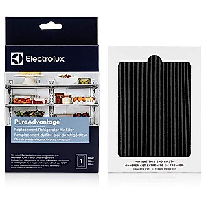 Electrolux Pure Advantage® EAFCBF Air Filter, 1 Count (Pack of 1)