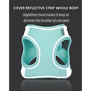 Solmoony Dog Harness for Small Medium Large Dogs No Pull, Puppy Harness and Leash Set, Puppy Harness for Small Dogs, Step in Harness for Small Dogs, Small Dog Harness, mesh Dog Harness. (Pink, XS)