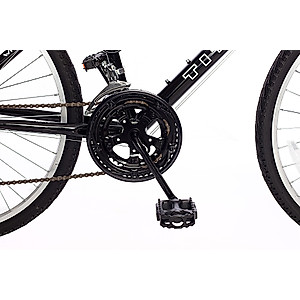 Titan Wildcat Ladies Mountain Bike (Purple/Black, 26-inch)