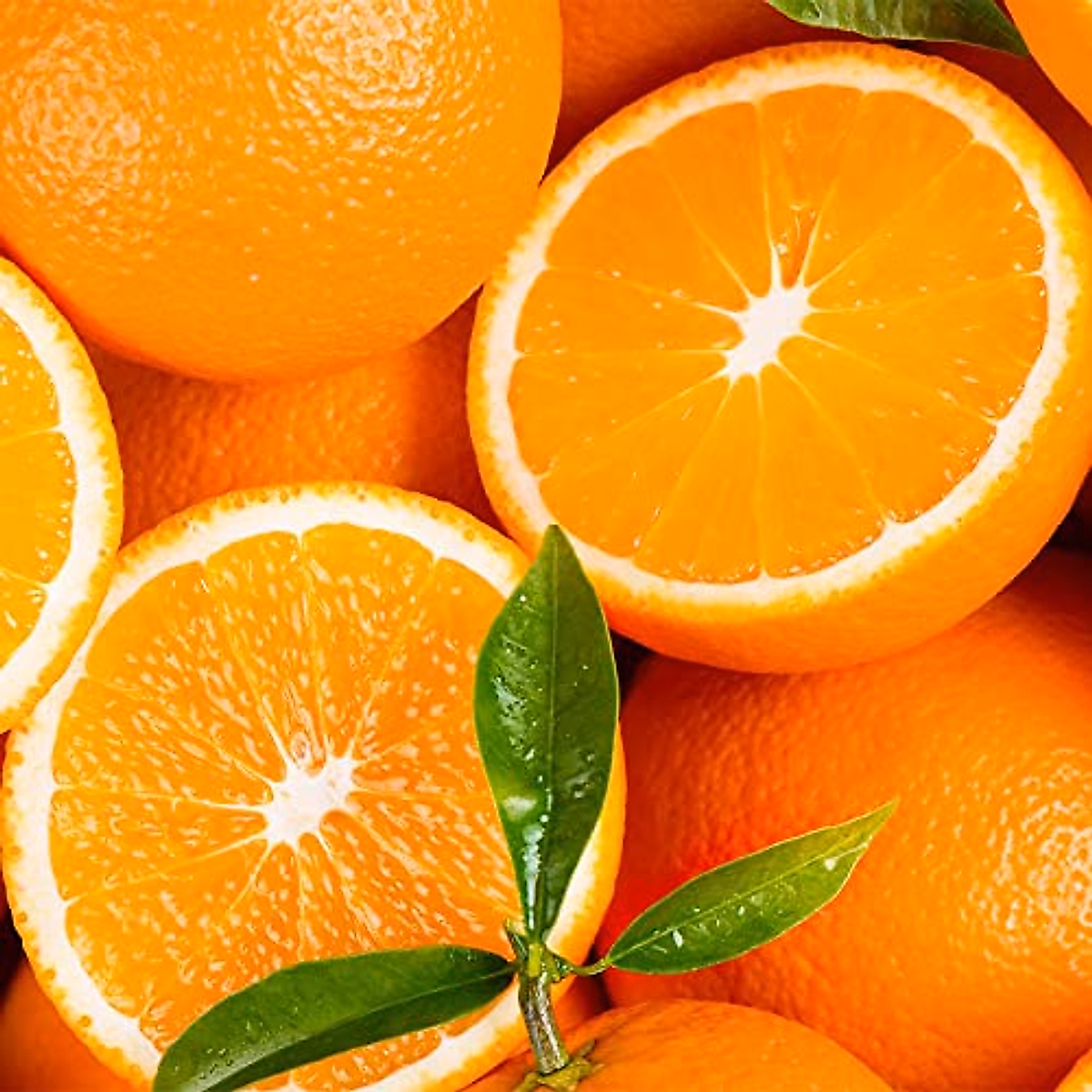 QAUZUY GARDEN 10 Seeds Orange Seeds - Organic Non-GMO Sweet Orange Seeds - Sweet Fragrant Citrus Sinensis Fruits - Grow Your Own Delicious Fruit Tree