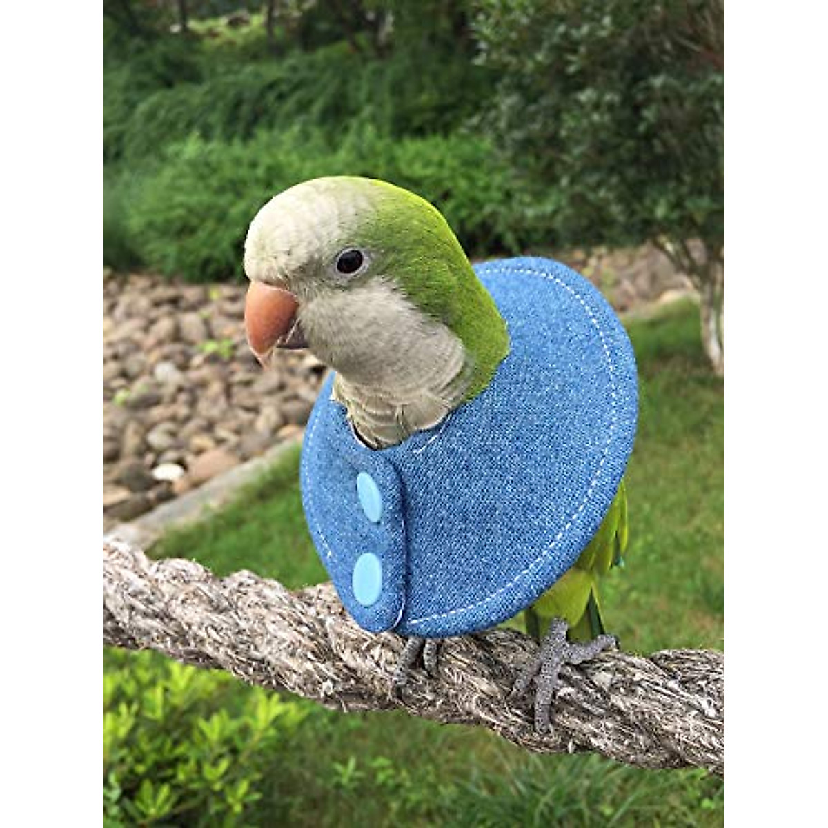 HEZHUO Adjustable Parrot Cone Collar, Safe and Practical Cotton Collar to Prevent Bites and Licking Wounds, to Help heal (XS)