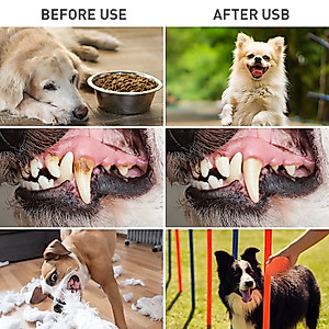 JUGLY Dog Chew Toys -Labrador's Favorite Dog Toys- Floating On Water Dog Squeaky Toys - Dog Pool Toys for Interactive Fetch & Play - Summer Water Game Dog Fetch Toy for Medium and Large Dogs