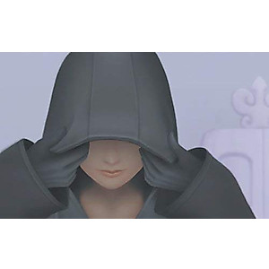 Kingdom Hearts 358/2 Days - Nintendo DS (Renewed)