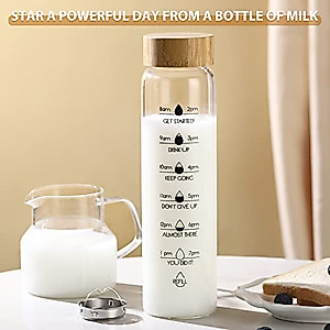 ZDZDZ Large Glass Water Bottle with Bamboo Lid, 33oz Travel Water Bottle with Time Marker and Rmovable Infuser, Glass Tea Infuser Bottle for Tea Milk Coffee Lemonade