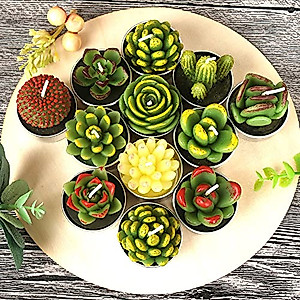 AIXIANG 12Pcs Cactus Candles Succulent Candles, Wedding Party Favors for Guests, Bridal Shower Candles Favors, Housewarming Favor, Baby Succulents Favors Baby Shower, Christmas Gifts