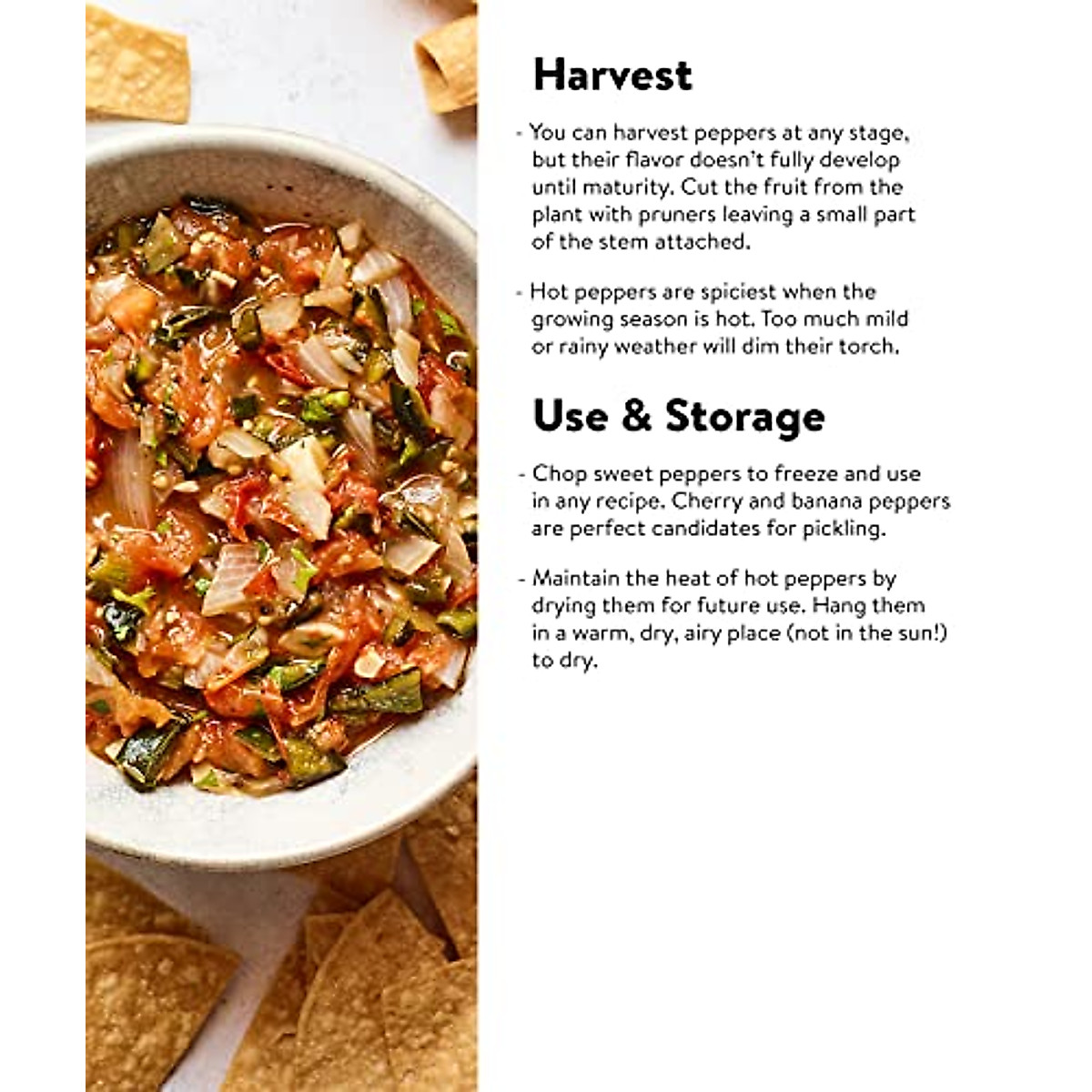 Burpee Poblano' (Ancho) 4" Heart-Shaped Dark Green to Red Peppers, 100 Seeds