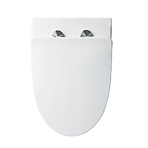 Casta Diva In-Wall Toilet Combo Set Incl. Wall Hung Toilet Bowl & Seat, Wall Tank and Carrier System, For 2x4 / 2x6 Studs