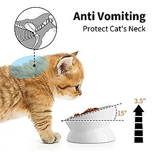 Nucookery Ceramic Cat Food Bowl Elevated,Raised Tilted Bowl Protect Pets' spines and Neck, Anti Vomiting Cat Bowl, Small Dog cat Kitten Supplies (5“, Pure White)