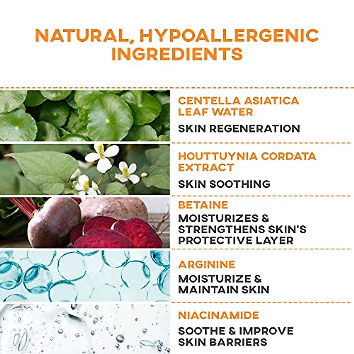 NOLAHOUR Vegan Watery Toner | Facial Toner for Men and Women | Hydrating Toner for Face w/Natural Ingredients | Toner for Oily Skin & Sensitive Skin | Korean Toner for Face (Pack of 1, 6.76 Fl Oz)