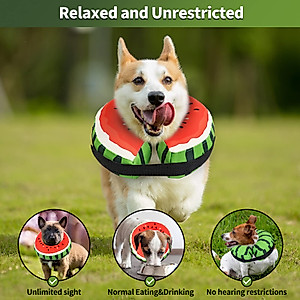 Protective Inflatable Recovery Cone Collar for Small Medium Large Dog, Soft E-Collar Dog Watermelon Donut Cone Alternative After Surgery for Dogs Cats