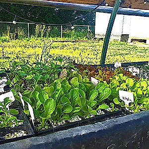 AIFUSI 10 Pack Seed Starter Kit, 72 Cell Seedling Trays Gardening Germination Plastic Tray Nursery Pots Mini Propagator Plant Grow Kit Plug Tray Starting Trays for Seedling Germination