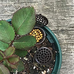 Tegg Fertilizer Basket 10PCS Fertilizer Box with Cover for Osmocote Orchid Bonsai Flower Plant