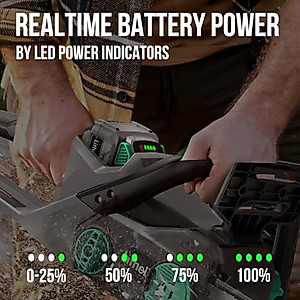 Litheli 40V 4.0AH Lithium Ion Battery Pack,Only for Litheli 40V Tools.