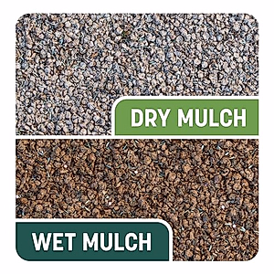 Pennington Smart Patch Sun and Shade Mix Jug 5 lb