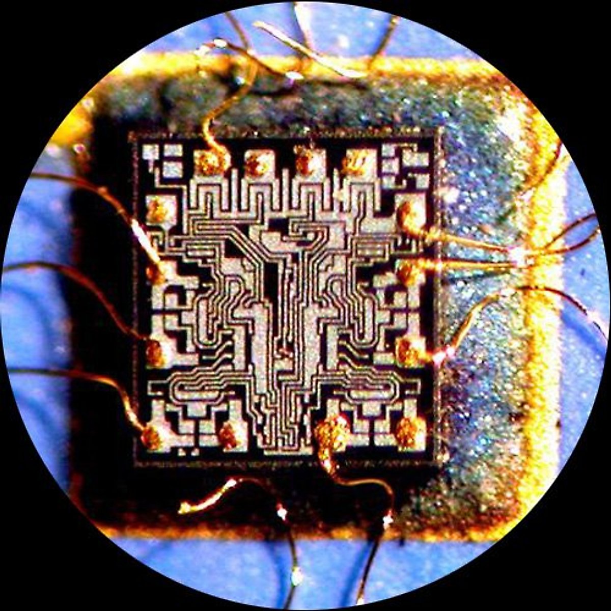 AmScope SM-1TZ-PL-5M Digital Professional Trinocular Stereo Zoom Microscope, WH10x Eyepieces, 3.5X-90X Magnification, 0.7X-4.5X Zoom Objective, Upper and Lower LED Lighting, Large Pillar-Style Table Stand, Includes 0.5X and 2.0X Barlow Lenses and 5MP Came