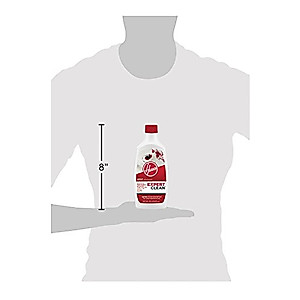 Hoover Expert Clean Spot Gel Treatment for Carpet, Stain Remover, 16 oz, AH15077, White