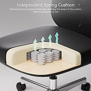 Hbada Ergonomic Office Chair, Desk Chair with Adjustable Lumbar Support and Height, Comfortable Mesh Computer Chair with Footrest 2D Headrest, Swivel Tilt Function Black