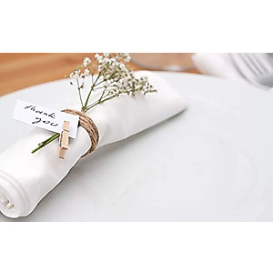 Mini Clothespins | 250 Pieces Mini Clothespins with 65 Feet of Jute Twine | 1-Inch Natural Wooden Clips for Decorations and Gifts by Voatation