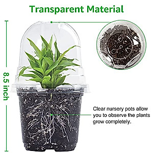 Bonviee 36 Packs 3.5/4/5 Inch Clear Nursery Pots with Humidity Domes, Variety Sizes Seed Starting Pots with Drainage Holes, Transparent Garden Containers for Succulents, Flowers and Cactus-Clear