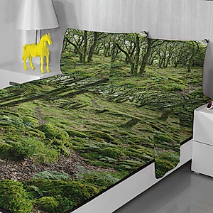 zcsm Landscape Sheets Full Size Sheets - Rainforest Bedding Sheets & Pillowcases - Luxurious 100% Microfiber, High Thread Count Print, Flat Sheet & Deep Pocket Fitted Sheet & 2 Pillowcases