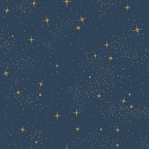 RoomMates RMK11319WP Upon A Star Navy and Metallic Peel and Stick Wallpaper
