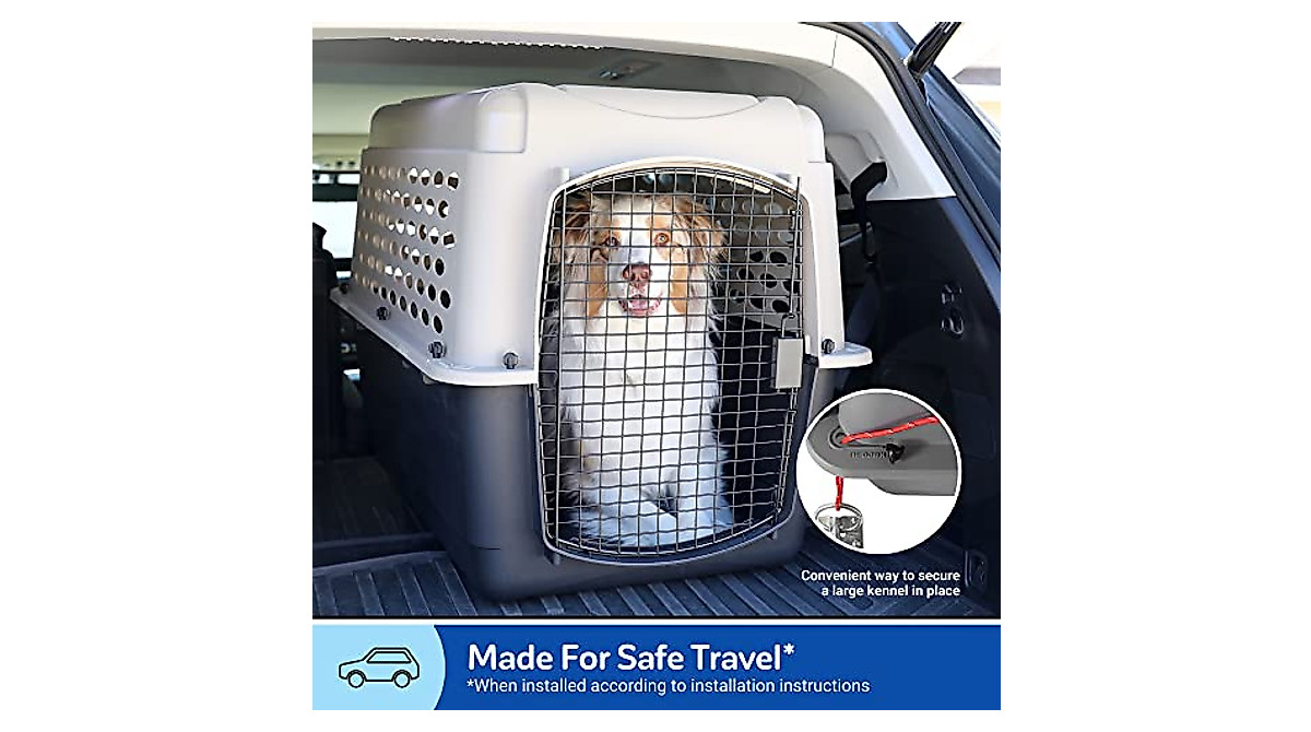 Petmate Vari Dog Kennel 36" | Portable Crate for Pets