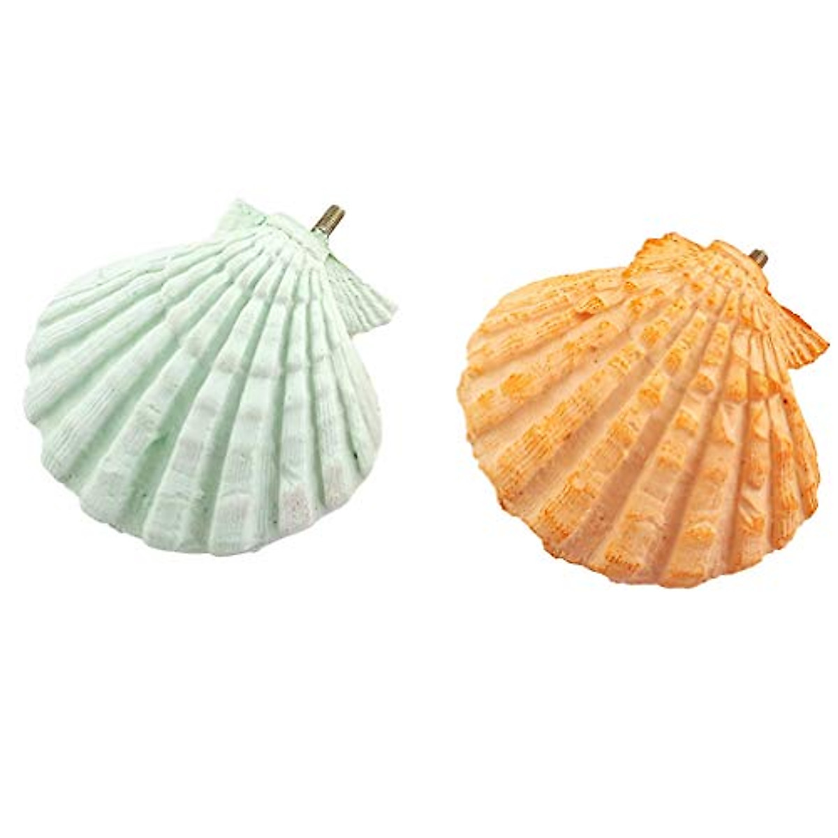 POPETPOP Parrot Perch Stand - 2PCs Shell Shape Totoro Squirrel Hamster Calcium Teeth Mouth Molar Grinding Stone Parrot Beak Stone Stand Platform