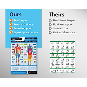 Gym Workout Posters - Set of 7 - Laminated - EXTRA LARGE 33" X 23.5" - Exercise Posters - Gym or Home Workout Charts - Includes Video Training Support