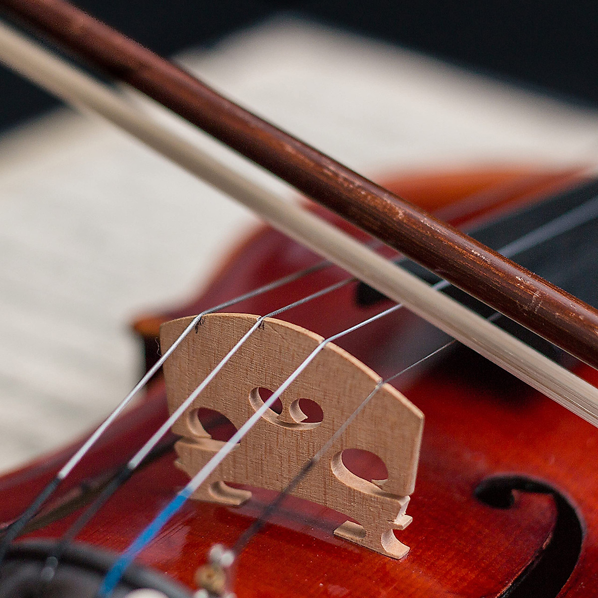 INKNOTE 8 PCS Violin Beginner Set - 4/4 Violin Notes Stickers, 5 pcs Maple 4/4 Full Size Violin Bridges, Violin Rubber Mute, with dust-free cloth, Ideal for anyone wanting to learn to play the violin