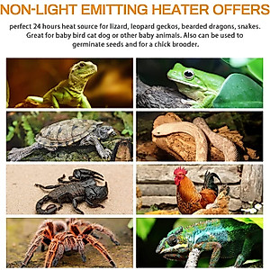 Simple Deluxe Ceramic Heat Emitter 150W Reptile Heat Lamp Bulb No Light Emitting Brooder Coop Heater for Amphibian Pet Snake Turtle & Incubating Chicken, No Harm, Color White, 1 Pack
