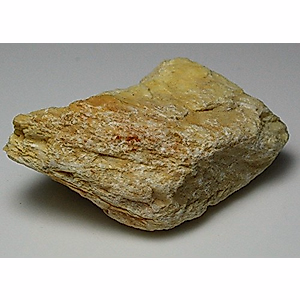 Barite Bologna Stone - Pack of 2 Unpolished Minerals