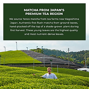 Tenzo Matcha Green Tea Powder - Matcha Powder USDA Organic Ceremonial Grade – Macha Powder Paleo, Kosher, Vegan – Authentic Japanese Matcha Tea - Original Matcha Latte Powder (1.06 Ounce)
